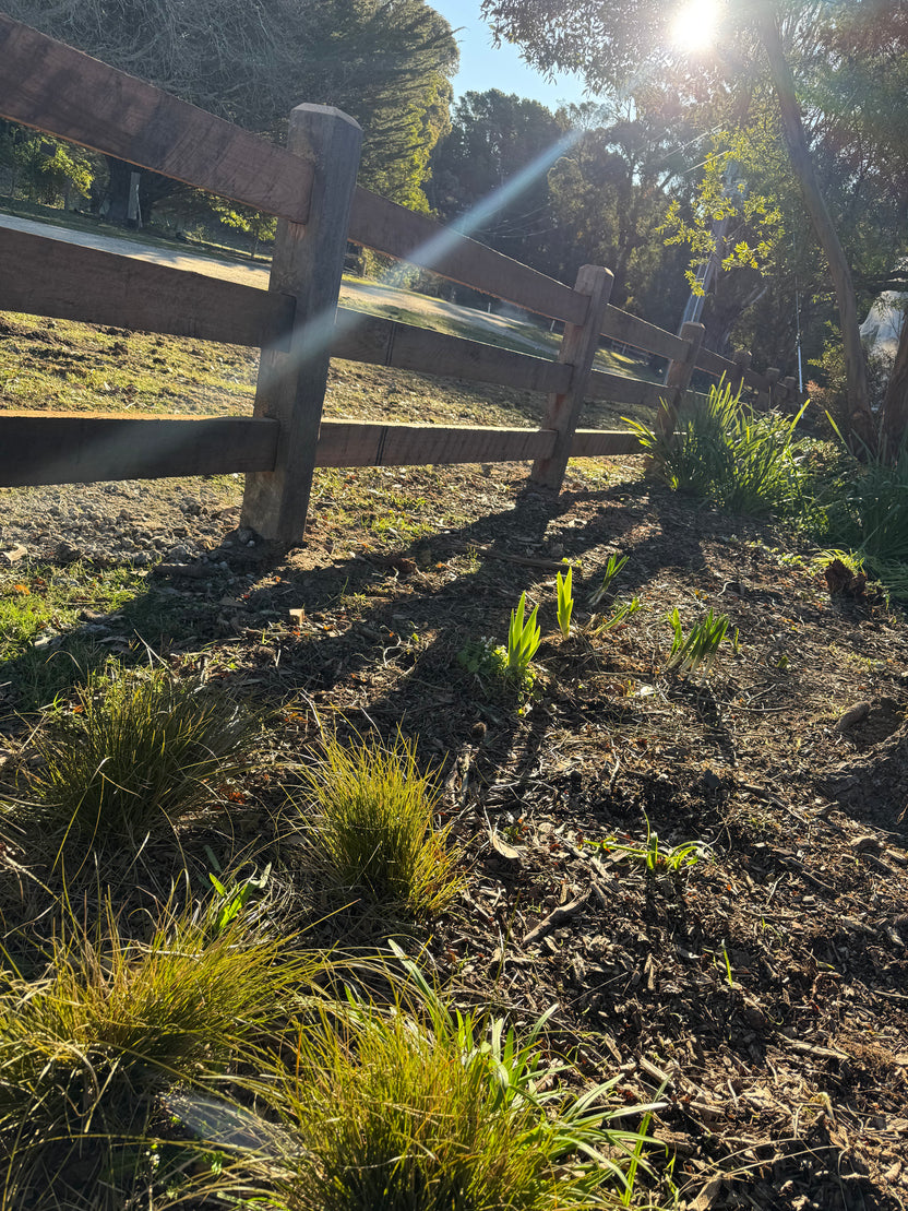 150x150x1.8m Red Ironbark Fence Post Morticed - Jak's Timber – Jaks Timber
