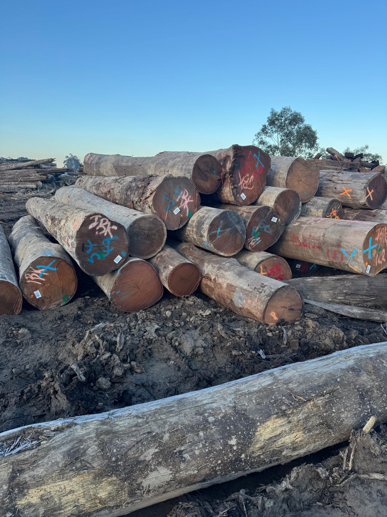 Products – Jaks Timber